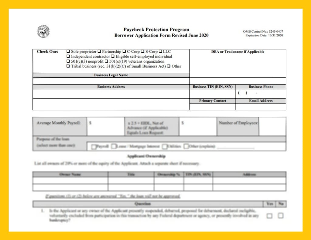 Paycheck Protection Program Borrower Application Form – Law Looper Store